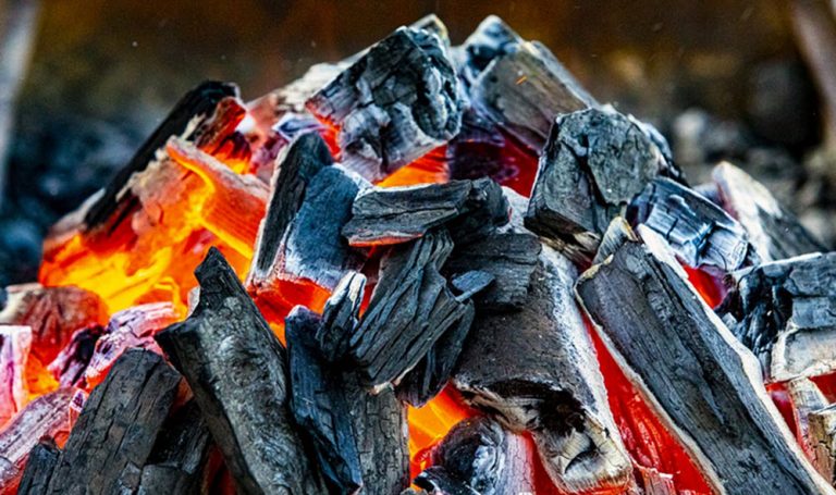 Wood coal - Rentechinc.